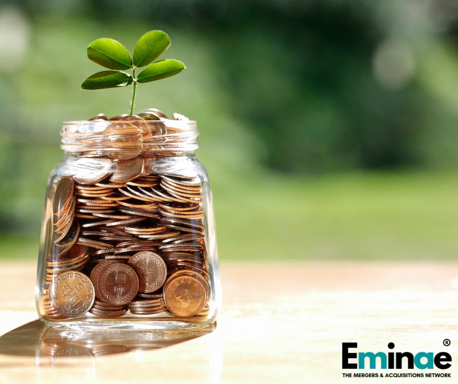 Building a Successful Business through Community and Collaboration - Eminae